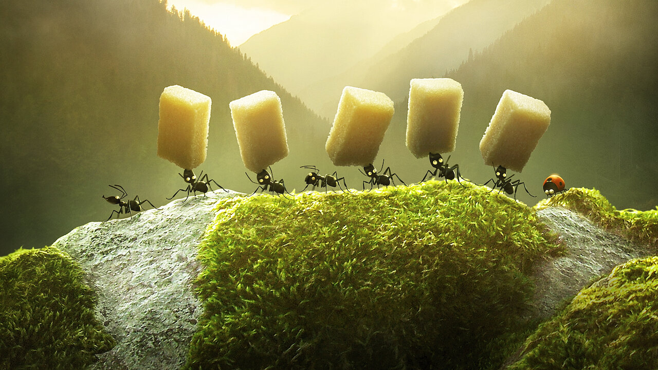 مشاهدة ‎Minuscule: Valley of the Lost Ants | Netflix