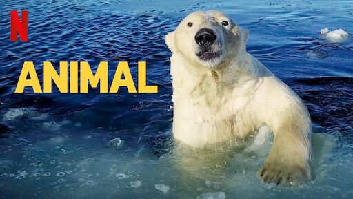 Watch Chasing Coral | Netflix Official Site