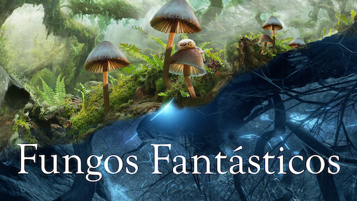 Coded Bias | Netflix