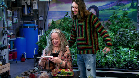 Watch Disjointed | Netflix Official Site