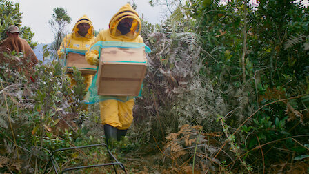 Watch Magical Andes | Netflix Official Site