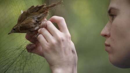 Watch Connected | Netflix Official Site