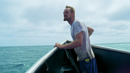 Watch Battlefish | Netflix Official Site