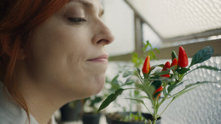 Watch Nobody's Looking | Netflix Official Site