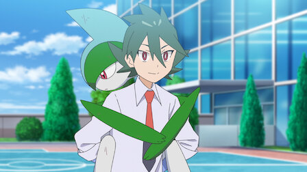 Watch Pokémon Master Journeys: The Series | Netflix Official Site