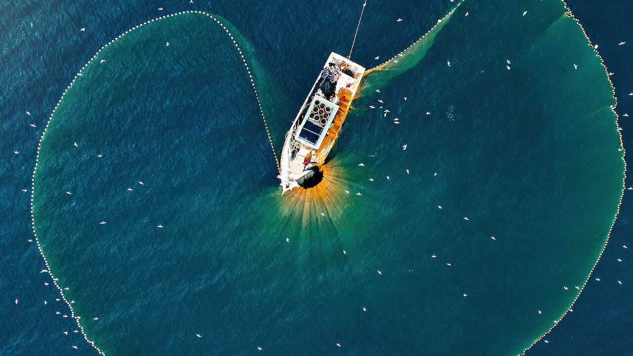 Nézd meg ezt: A Tutto Tonno - La Pesca del Tonno Rosso | Netflix