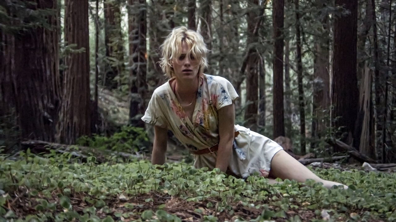 Watch Always Shine | Netflix