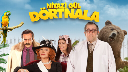 Watch Have You Ever Seen Fireflies? | Netflix Official Site