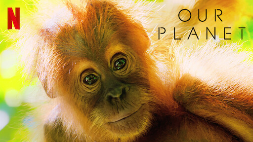 Watch David Attenborough: A Life on Our Planet | Netflix Official Site